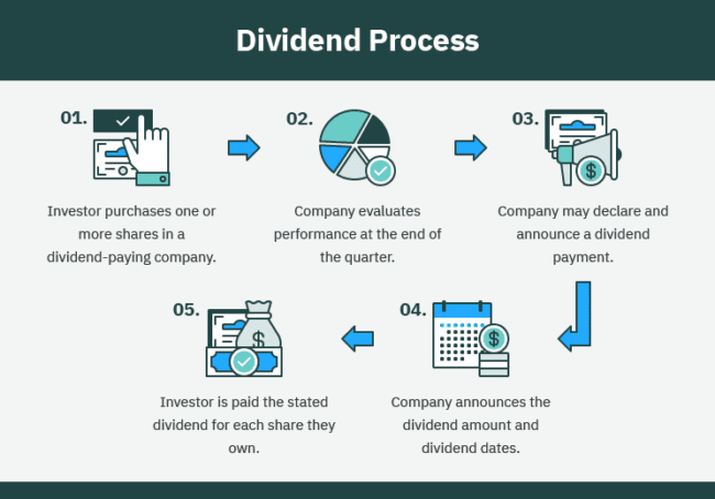 What is Dividend Investing and Is It Right for You? (2024)