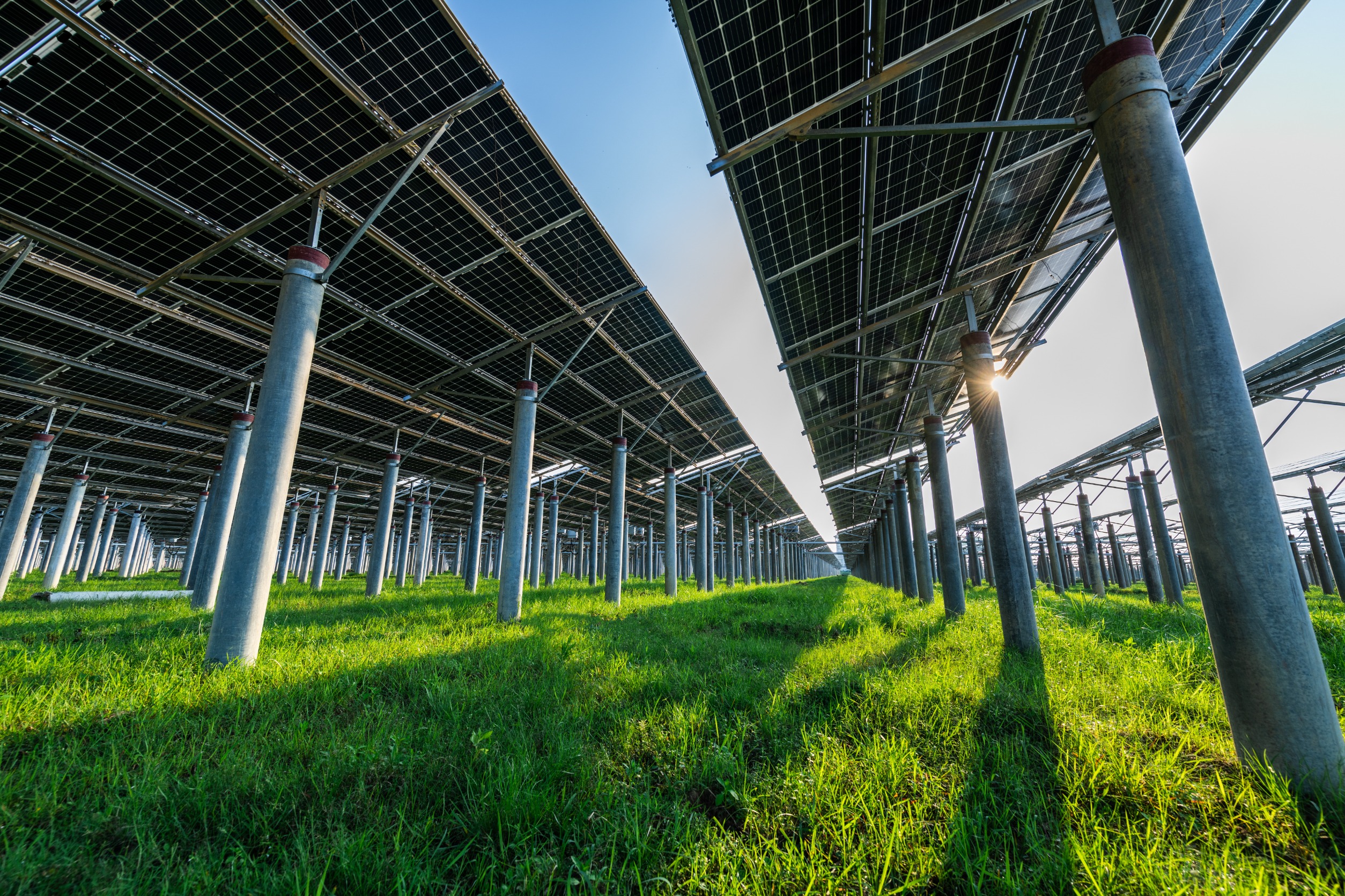 Solar Stocks Plunge After SolarEdge’s Guidance Warns of Low Demand ...